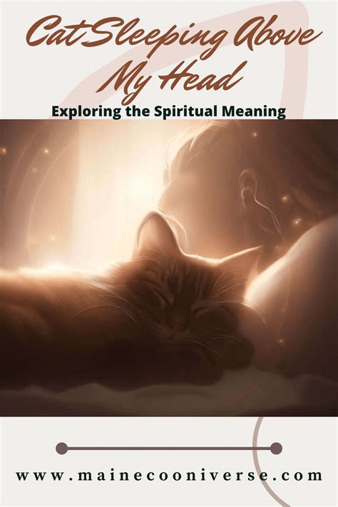 Cat Sleeping Above My Head: Exploring the Spiritual Meaning
