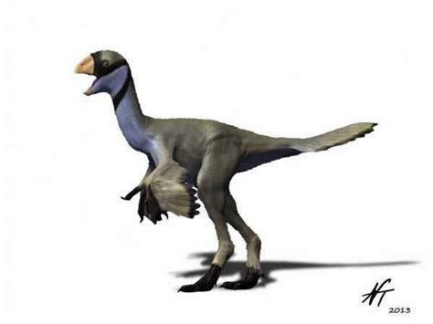 Yulong Pictures & Facts - The Dinosaur Database