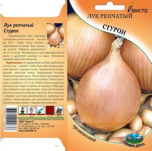 Лук Стурон – описание сорта, посадка и уход, отзывы