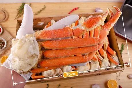 Поставщик №1 вкусных и свежих продуктов питания. Доставка!