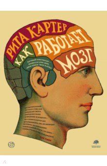 Как работает мозг - Картер Рита - Издательство Альфа-книга