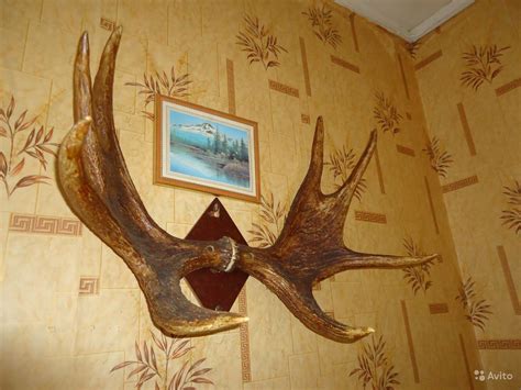 Поделки из рогов лося - фото и картинки: 69 штук