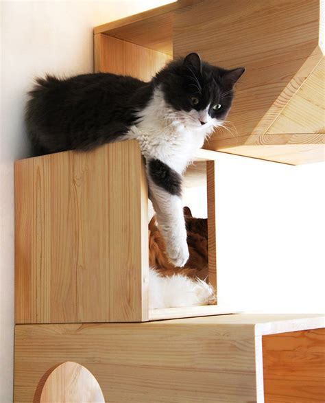 Подвесной домик для кошек от эстонской студии Catissa | Admagazine | AD ...