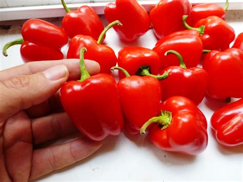 Перец Сладкий Mini Bell Red - Мини Белл Красный