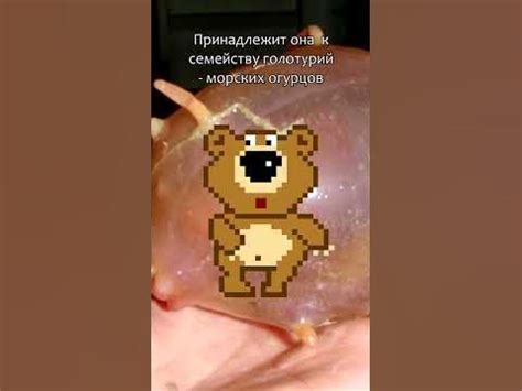 Мишка и огурец - YouTube