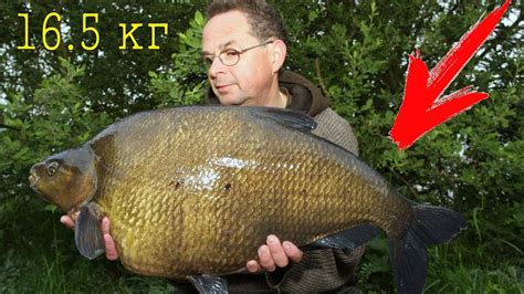 Самый большой в мире пойманный Лещ!!! Рыба Лещ весом 16.5кг. Мировой ...