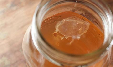 Грибной чай (Kombucha): польза и вред, как вырастить медузомицет
