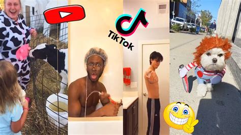 Top 213 Tiktok Memes That Will Make You Laugh 2020 Ti - vrogue.co