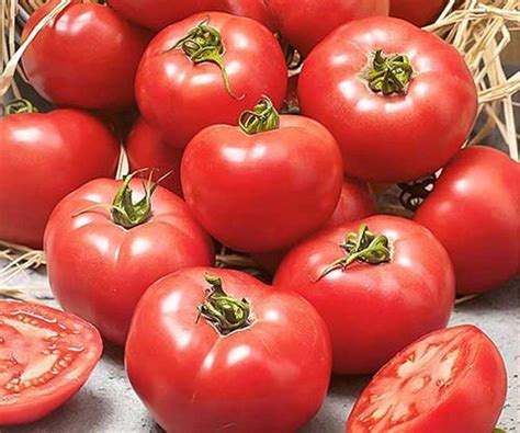 Купить рассаду, свежие овощи и ягоды в Минске от производителя