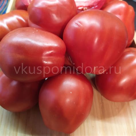 Купить семена томата сорт Красная груша Франчи