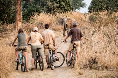 Tafika Camp | Safari Consultants