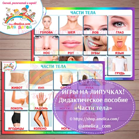 Для малышей картинки Части тела, игры на липучках скачать