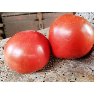 Purple Strawberry (Фиолетовая клубника), США