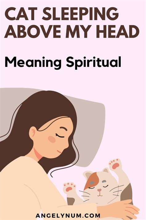Cat Sleeping Above My Head Meaning Spiritual em 2024