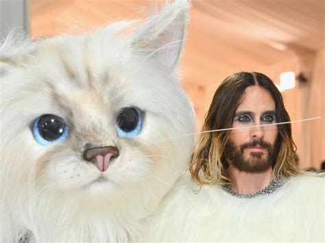 Met Gala 2023: Fake Selena Gomez red carpet mage goes viral | The Advertiser