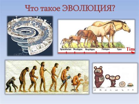Развитие эволюционных представлений - презентация онлайн