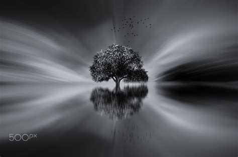 Monochrome | Monochrome, Art photography, Fine art