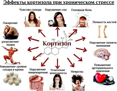 Как снизить гормон кортизол у женщин народными средствами