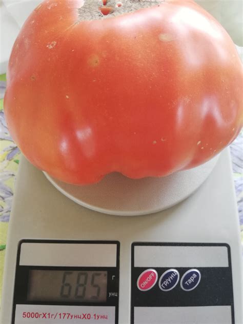 Записала все самые вкусные сорта помидоров этого года. Спасибо ...