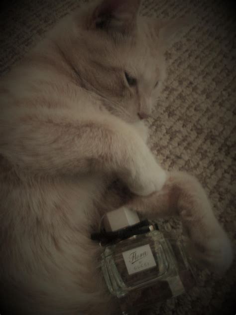 Flora by Gucci Eau Fraiche Gucci άρωμα - ένα άρωμα για γυναίκες 2011