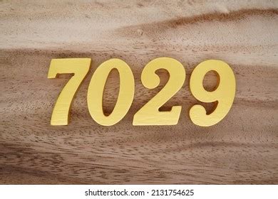 63 7029 Images, Stock Photos & Vectors | Shutterstock
