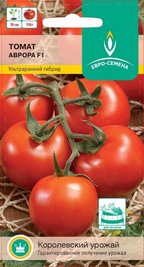 Томат Аврора: описание сорта и характеристика
