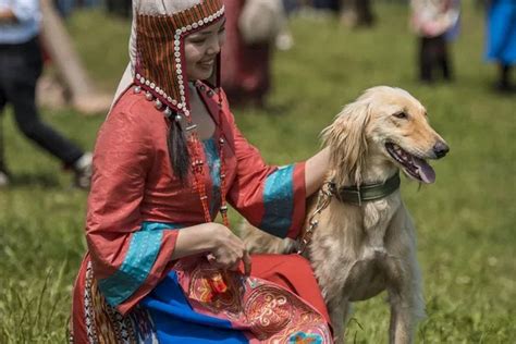 How to save the Kyrgyz Taigan - Rossiyskaya Gazeta - ePrimefeed
