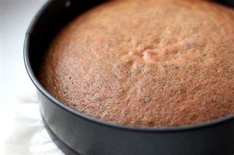 Delikatesse zu Ostern: Der Mohnkuchen Makownik - Russia Beyond DE