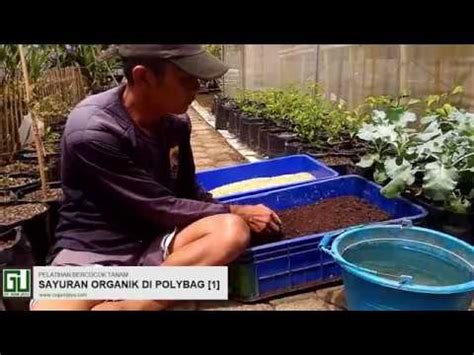 Pelatihan Bercocok Tanam Sayuran Organik di Polybag 1: Persiapan Bahan - YouTube