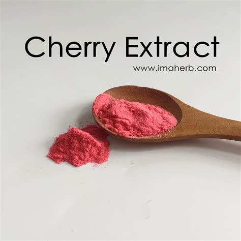 100% pure natural Cherry Extract/Cherry Extract powder/Cherry