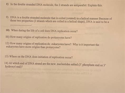 Solved 8) In the double stranded DNA molecule, the 2 strands | Chegg.com