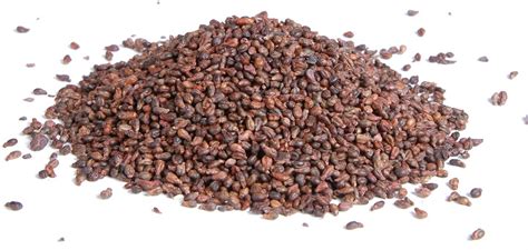 The Most Staggering Health Benefits Of Grape Seed Extract - Health Cautions