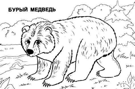 Дикие животные