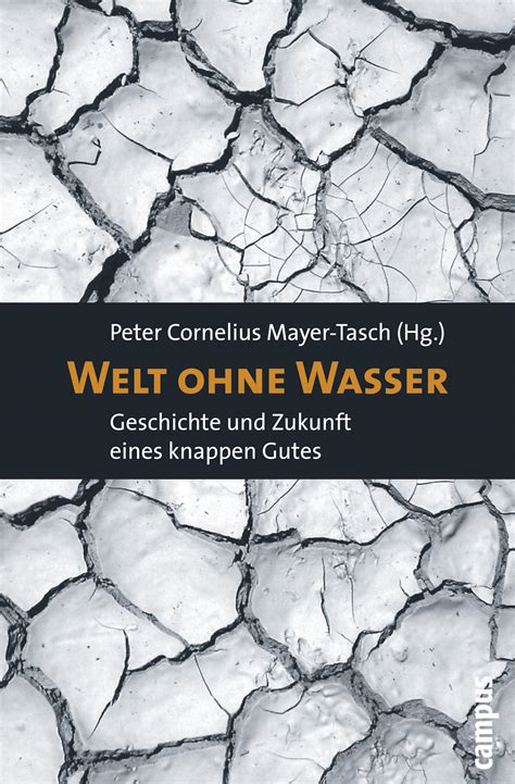Welt ohne Wasser, ein Buch von Peter Cornelius Mayer-Tasch - Campus Verlag