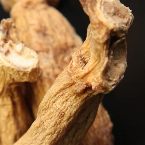 Red Ginseng Extract G (PG) - Anti-aging Ingredients | CTKCLIP