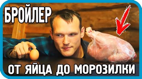 100 КГ МЯСА ЗА 90 ДНЕЙ! ЭКСПЕРИМЕНТ ЗАВЕРШЁН! - YouTube