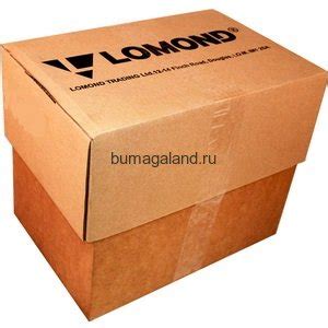Купить Самоклеющаяся бумага Lomond А4 (2100025Т), 4 дел.(105х148,5 ...