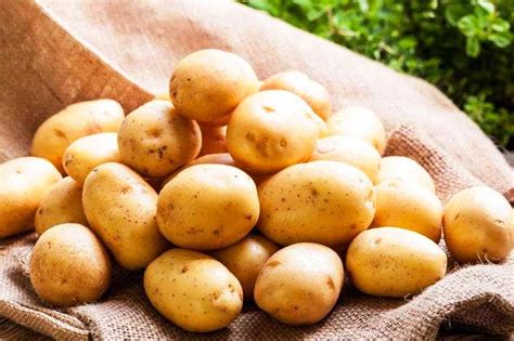 Какой картофель выбрать для варки и жарки: как правильно готовить