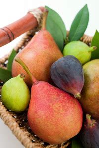 Sugar Pear Trees for Sale | Standard Select Pear Trees