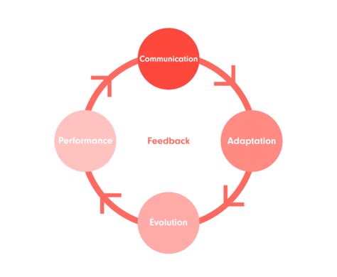 Feedback définition : un outil puissant de performance