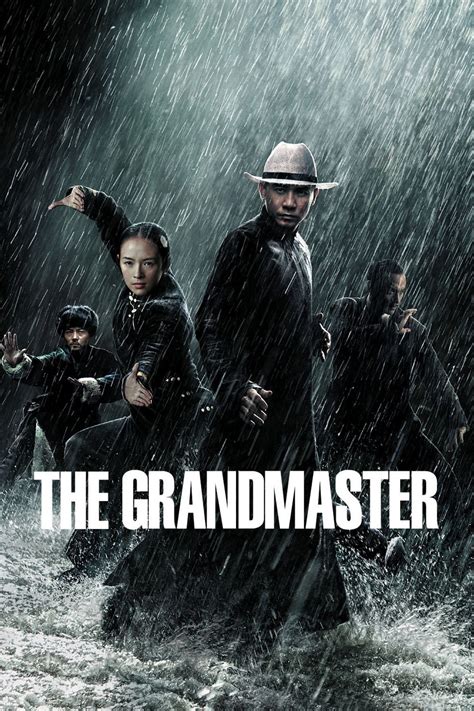 The Grandmaster Movie Poster - ID: 350921 - Image Abyss