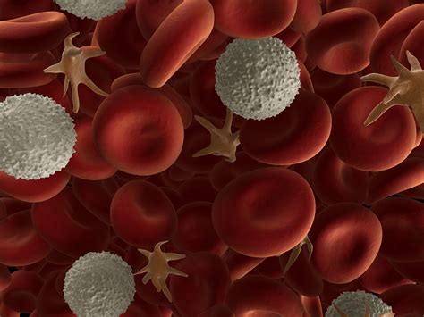 A Brief Review on The Study of Blood and Its Different Components ...