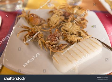 Moleca : 15 images, photos et images vectorielles de stock | Shutterstock