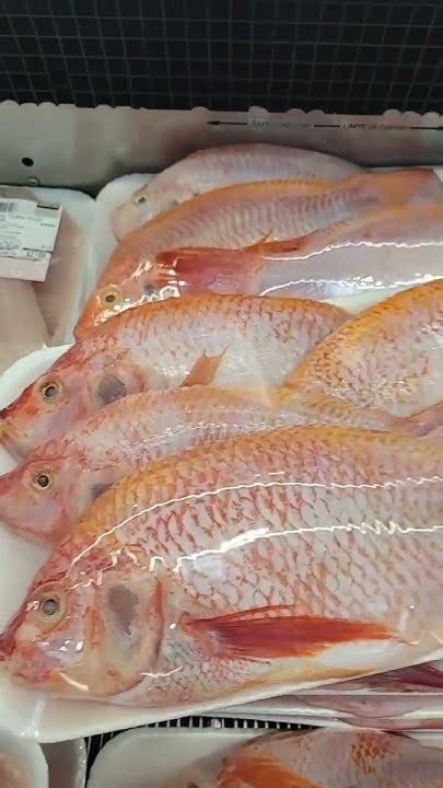 How much does Tilapia cost to Аmerica/Сколько стои стоит Тилапия в ...