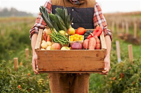 В России появится национальный дистрибьютор агропромышленной продукции ...