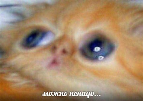 ﻿У^НАММЕР 40000 У^1К1 Ц = Символ Слаанеш Имя Слаанеш происходит от ...