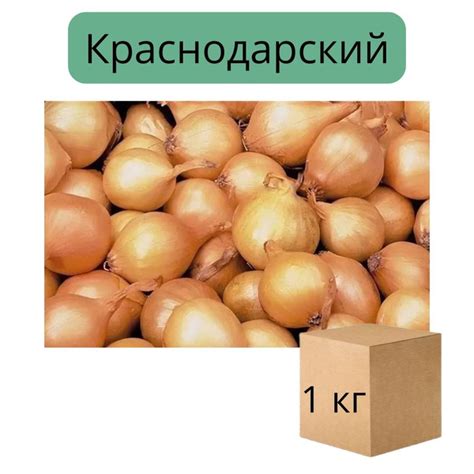 Луковицы Лук севок купить по выгодной цене в интернет-магазине OZON ...