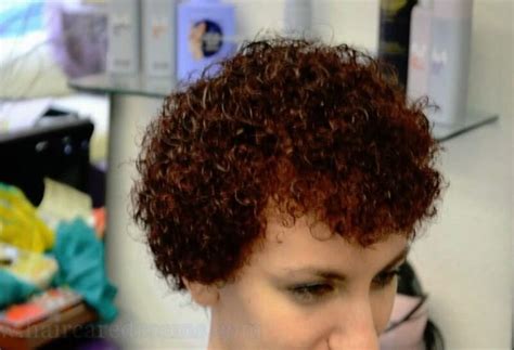 Pin by John mckenna on Poodle perm | Short curly haircuts, Curly hair ...