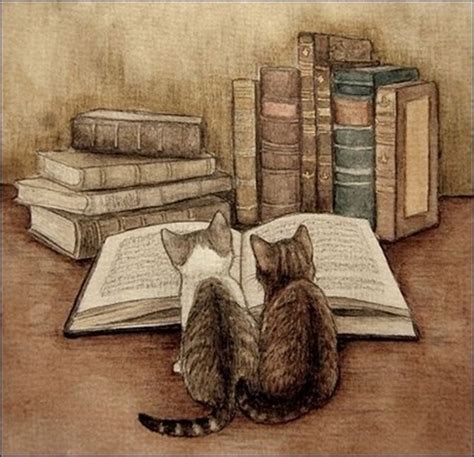 Читающие коты | Кот и кошка