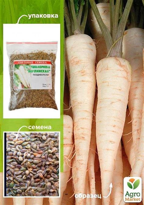 Петрушка корневая "Берлинская" ТМ "Весна" 100г купить почтой в Одессе ...